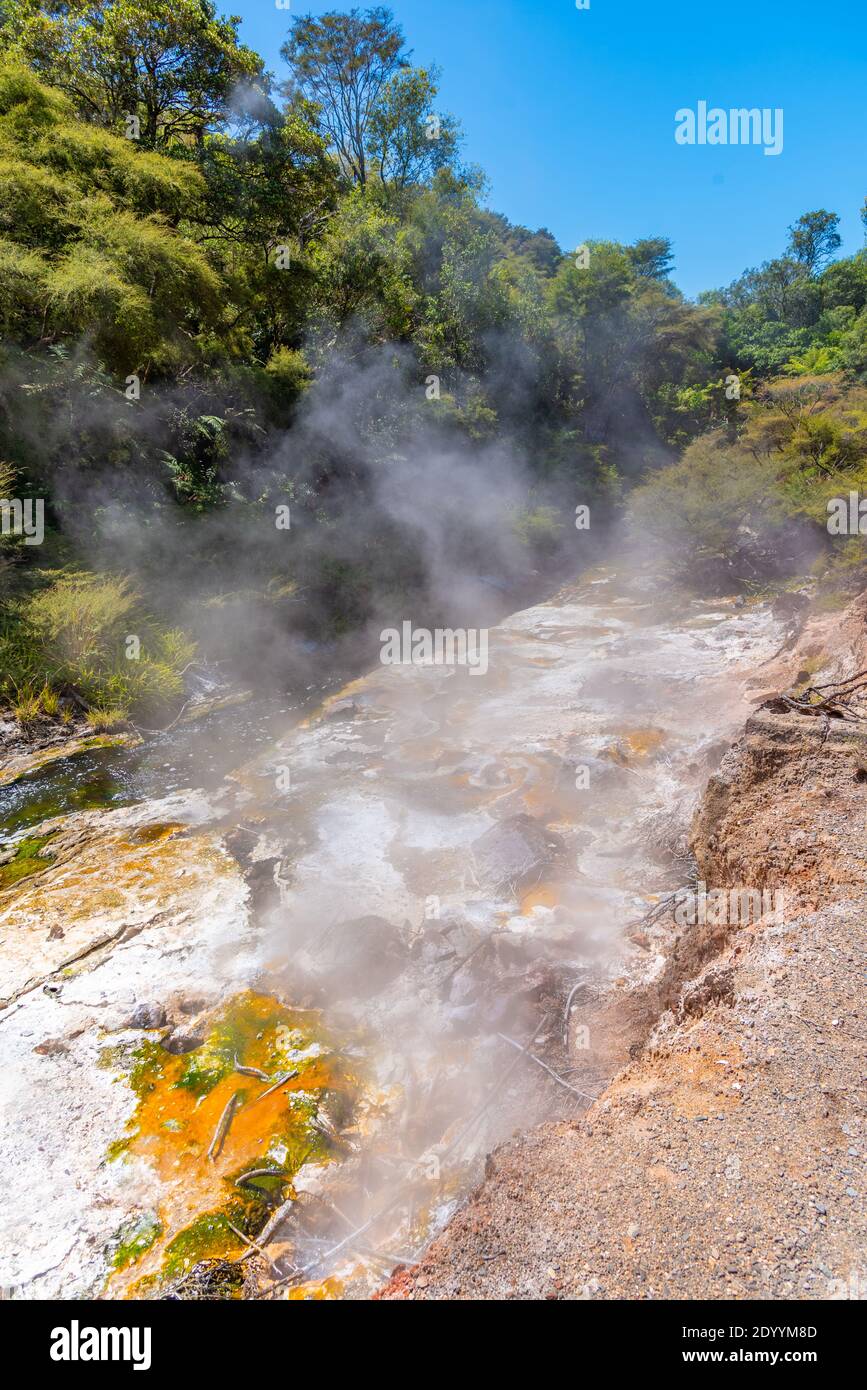 Fumaroles at Waimangu volcanic valley in New Zealand Stock Photo - Alamy