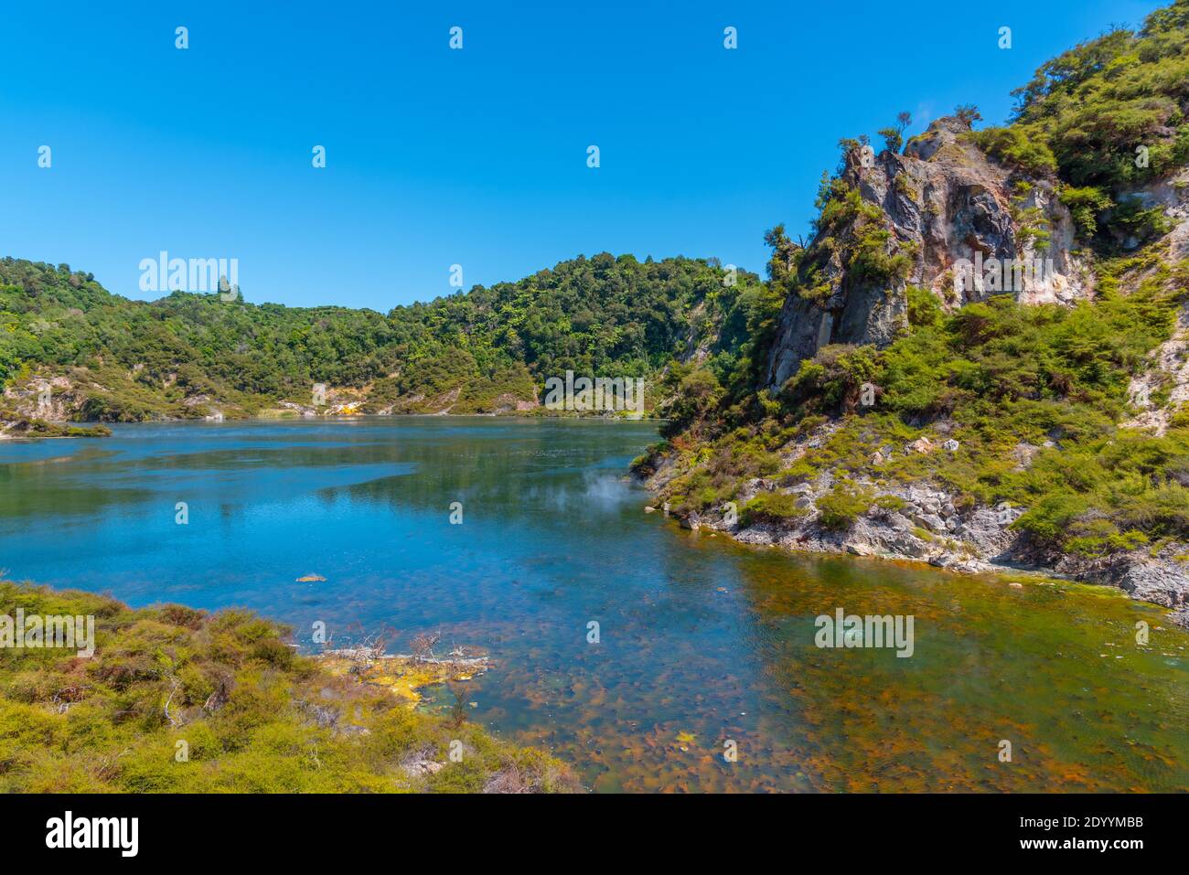 Waimangu volcanic reserve hi-res stock photography and images - Alamy