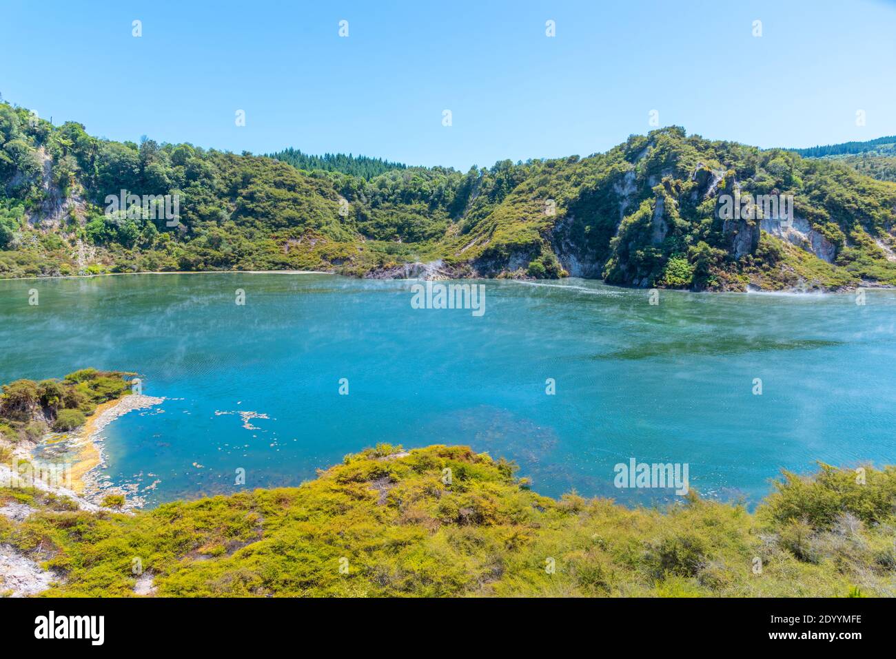 Frying pan lake and echo crater at Waimangu volcanic valley un New ...