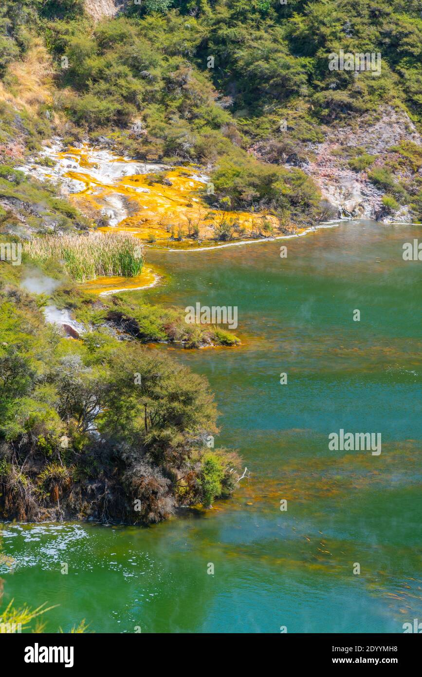 Frying pan lake and echo crater at Waimangu volcanic valley un New ...