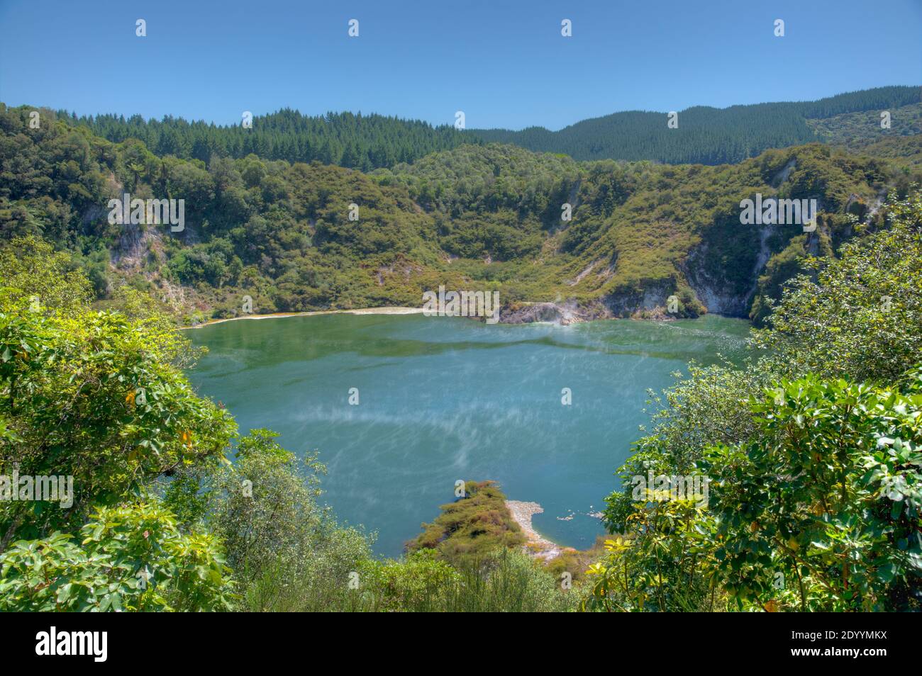 Frying pan lake and echo crater at Waimangu volcanic valley un New ...
