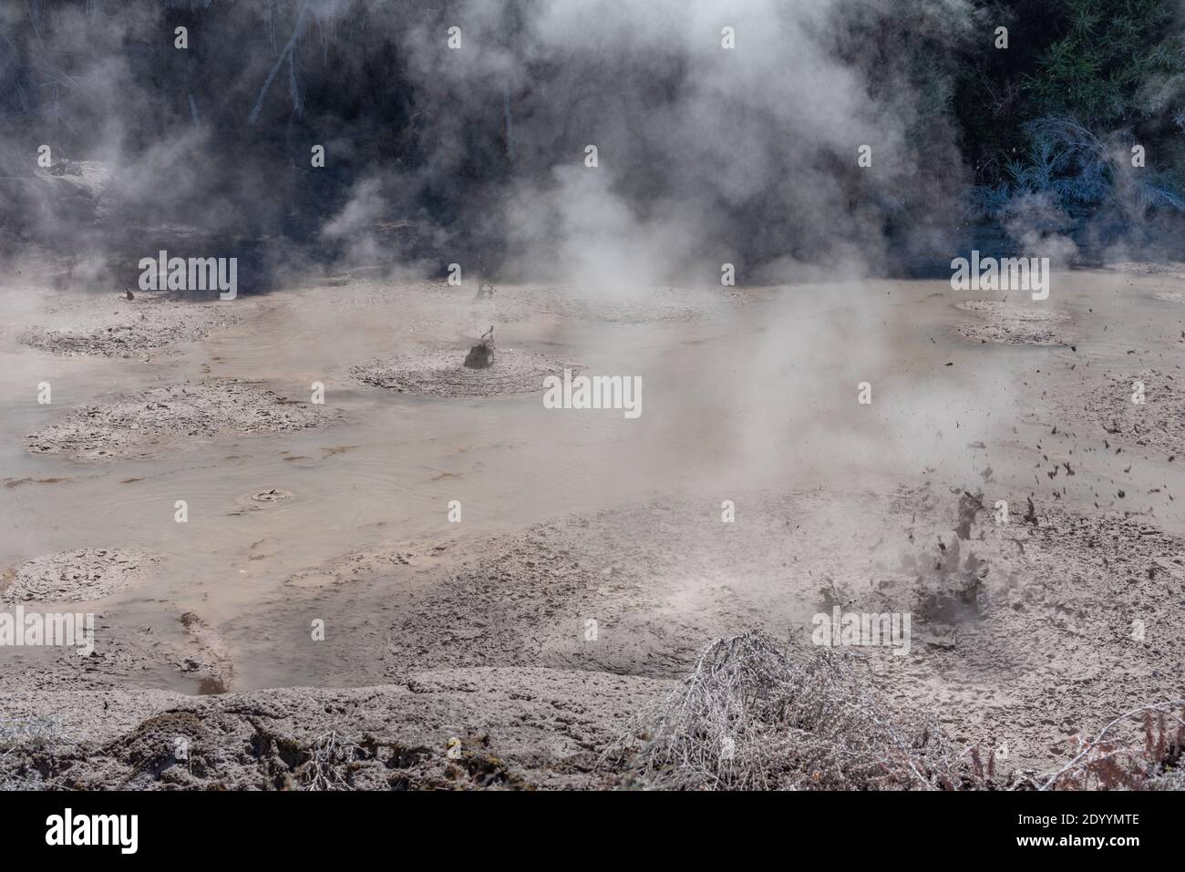 Mud pools at Wai-O-Tapu at New Zealand Stock Photo - Alamy
