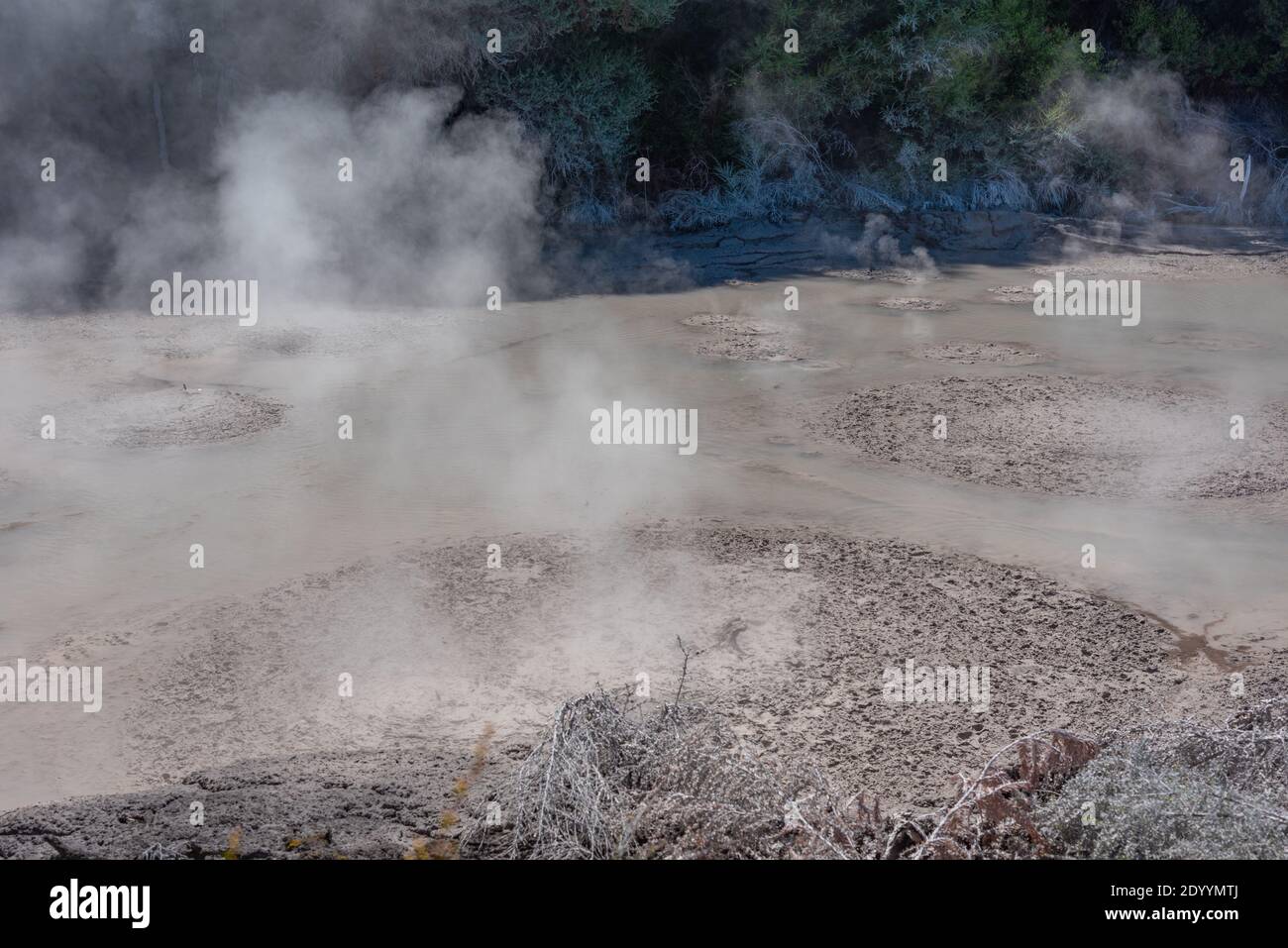 Mud pools at Wai-O-Tapu at New Zealand Stock Photo - Alamy