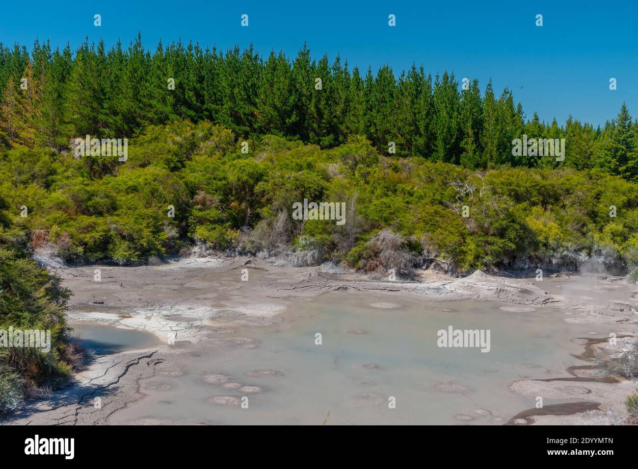 Mud pools at Wai-O-Tapu at New Zealand Stock Photo - Alamy
