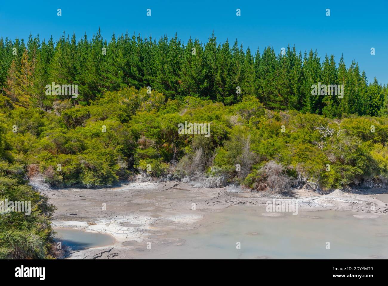 Mud pools at Wai-O-Tapu at New Zealand Stock Photo - Alamy