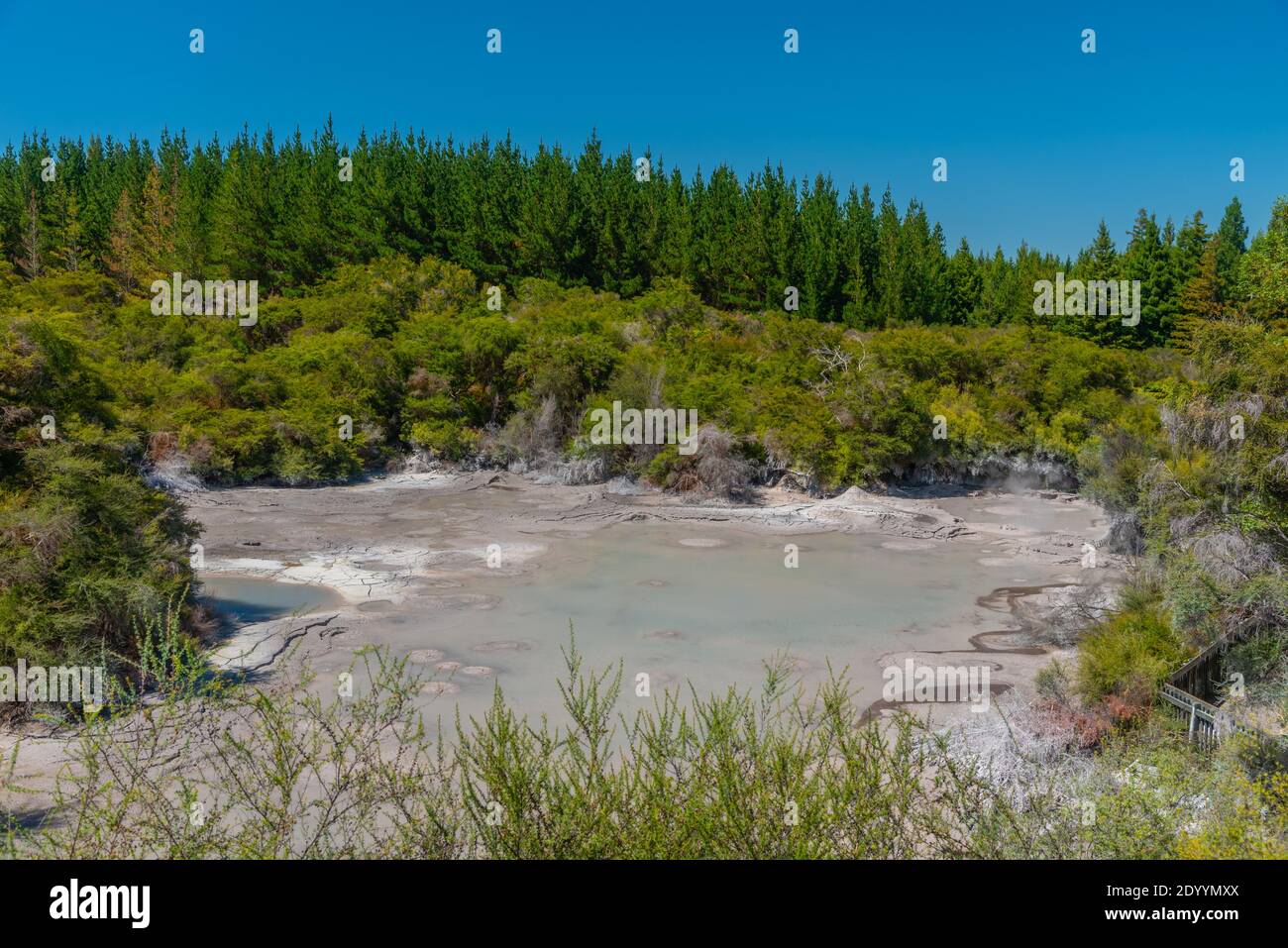 Mud pools at Wai-O-Tapu at New Zealand Stock Photo - Alamy