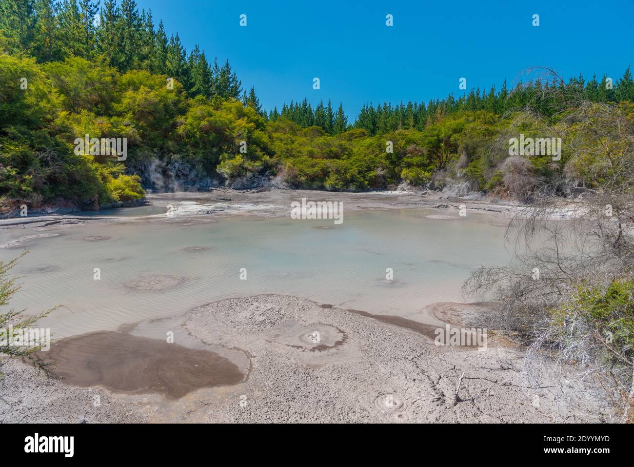Mud pools at Wai-O-Tapu at New Zealand Stock Photo - Alamy