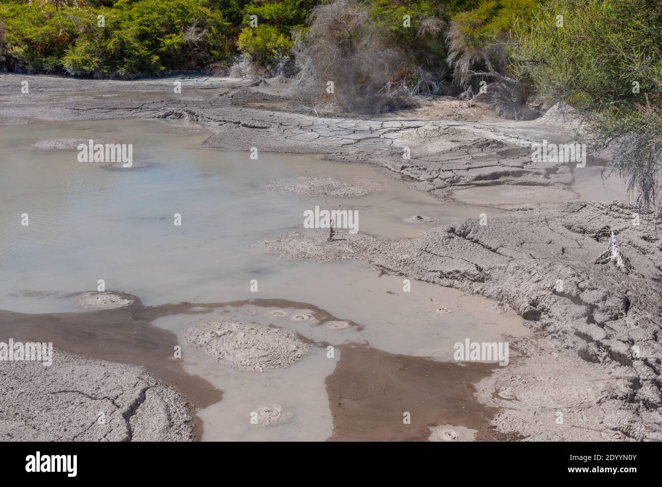 Mud pools at Wai-O-Tapu at New Zealand Stock Photo - Alamy