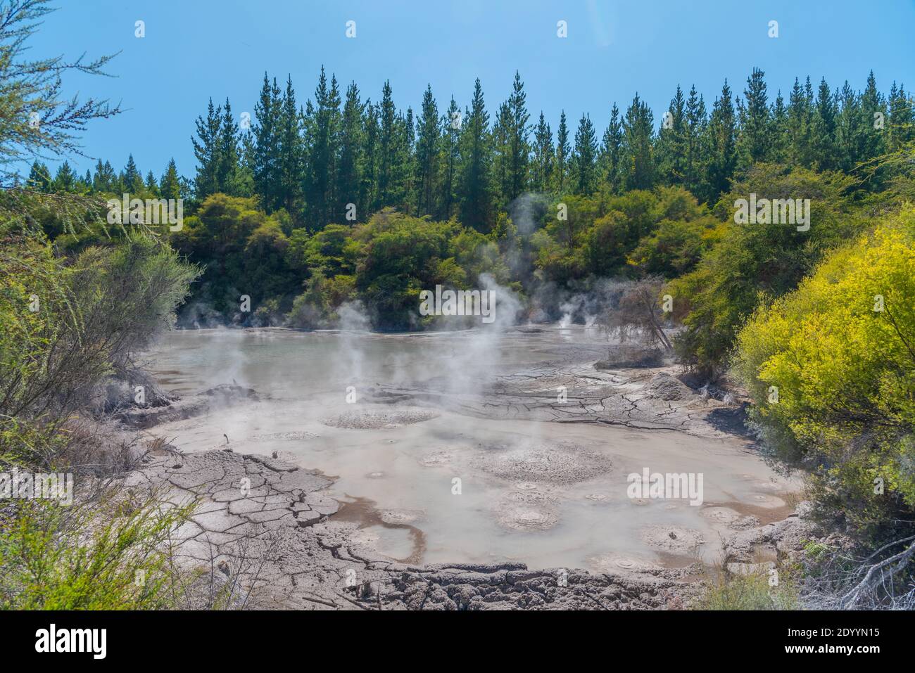 Mud pools at Wai-O-Tapu at New Zealand Stock Photo - Alamy
