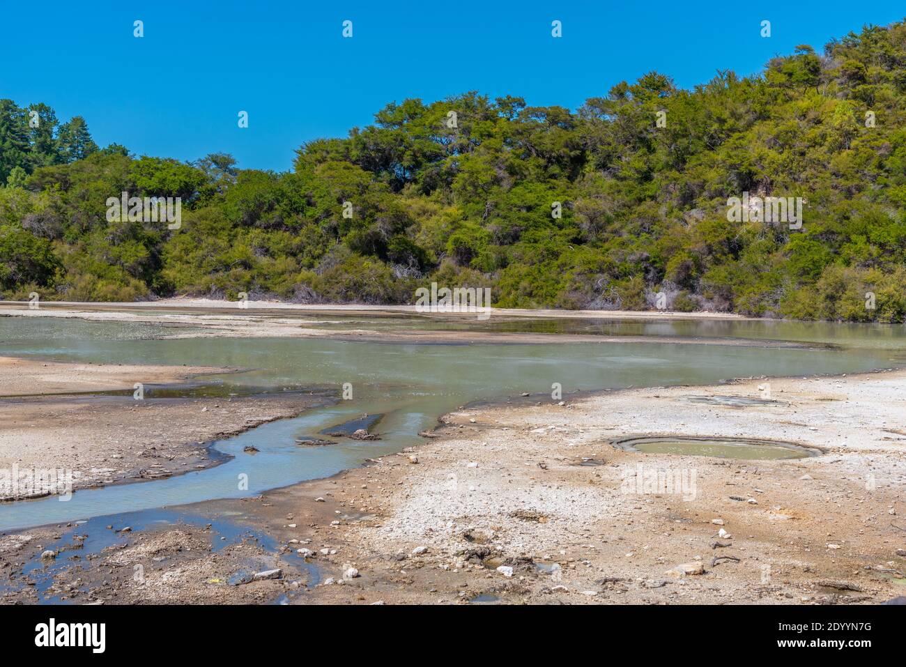 Mud pools at Wai-O-Tapu at New Zealand Stock Photo - Alamy