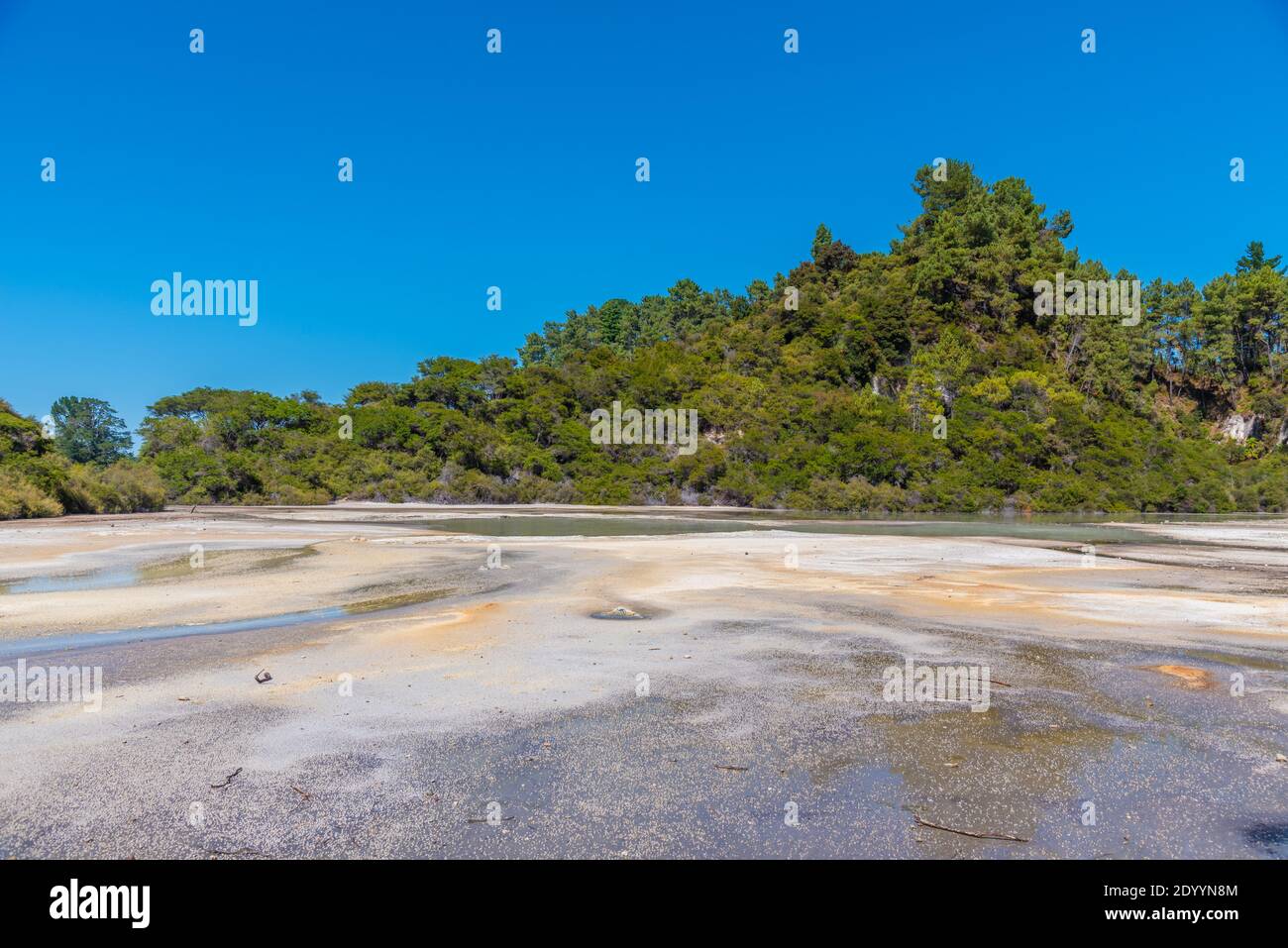 Mud pools at Wai-O-Tapu at New Zealand Stock Photo - Alamy