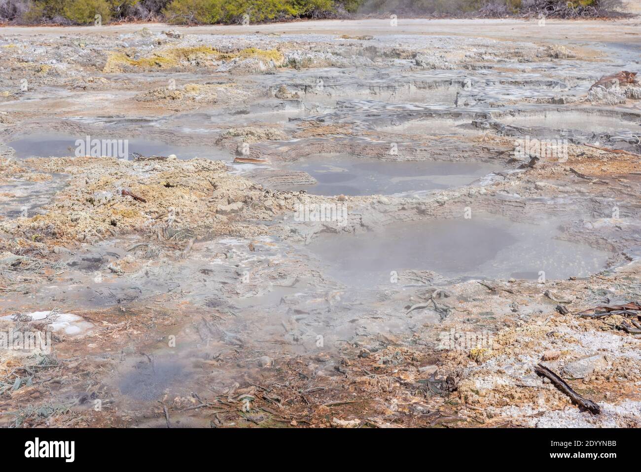 Mud pools at Wai-O-Tapu at New Zealand Stock Photo - Alamy