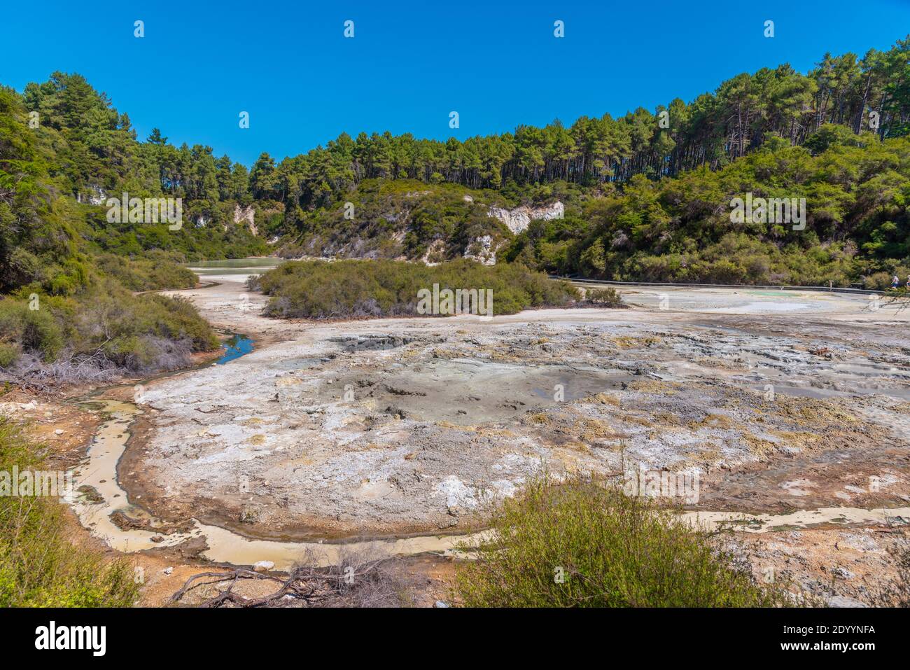 Mud pools at Wai-O-Tapu at New Zealand Stock Photo - Alamy