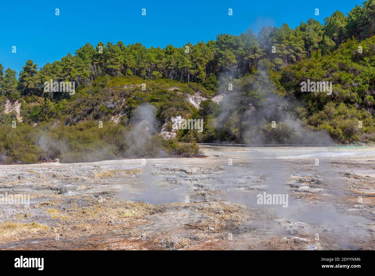 Mud pools at Wai-O-Tapu at New Zealand Stock Photo - Alamy