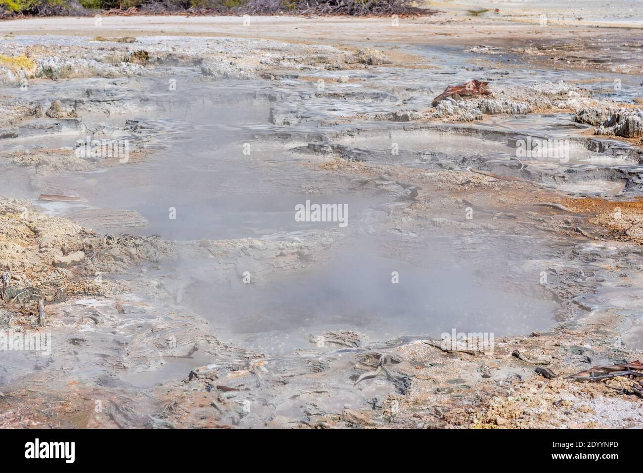 Mud pools at Wai-O-Tapu at New Zealand Stock Photo - Alamy