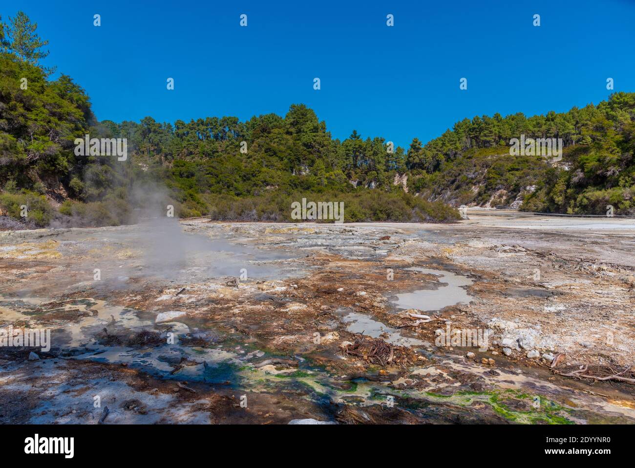 Mud pools at Wai-O-Tapu at New Zealand Stock Photo - Alamy