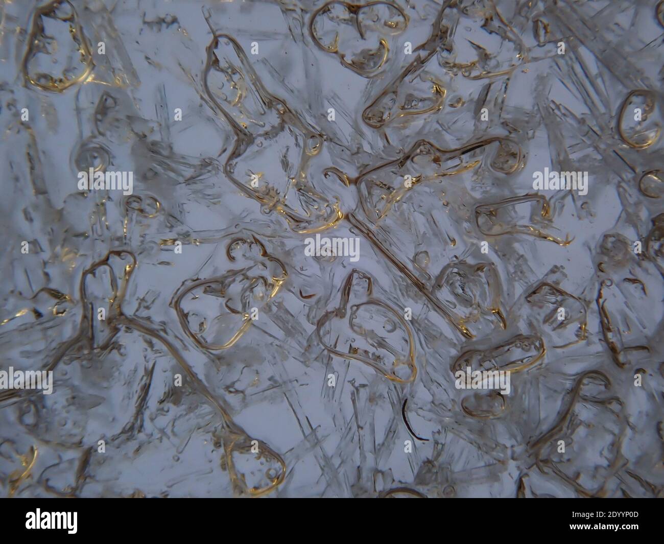 Freeze pattern of natural ice crystals on a light background. Close-up ...