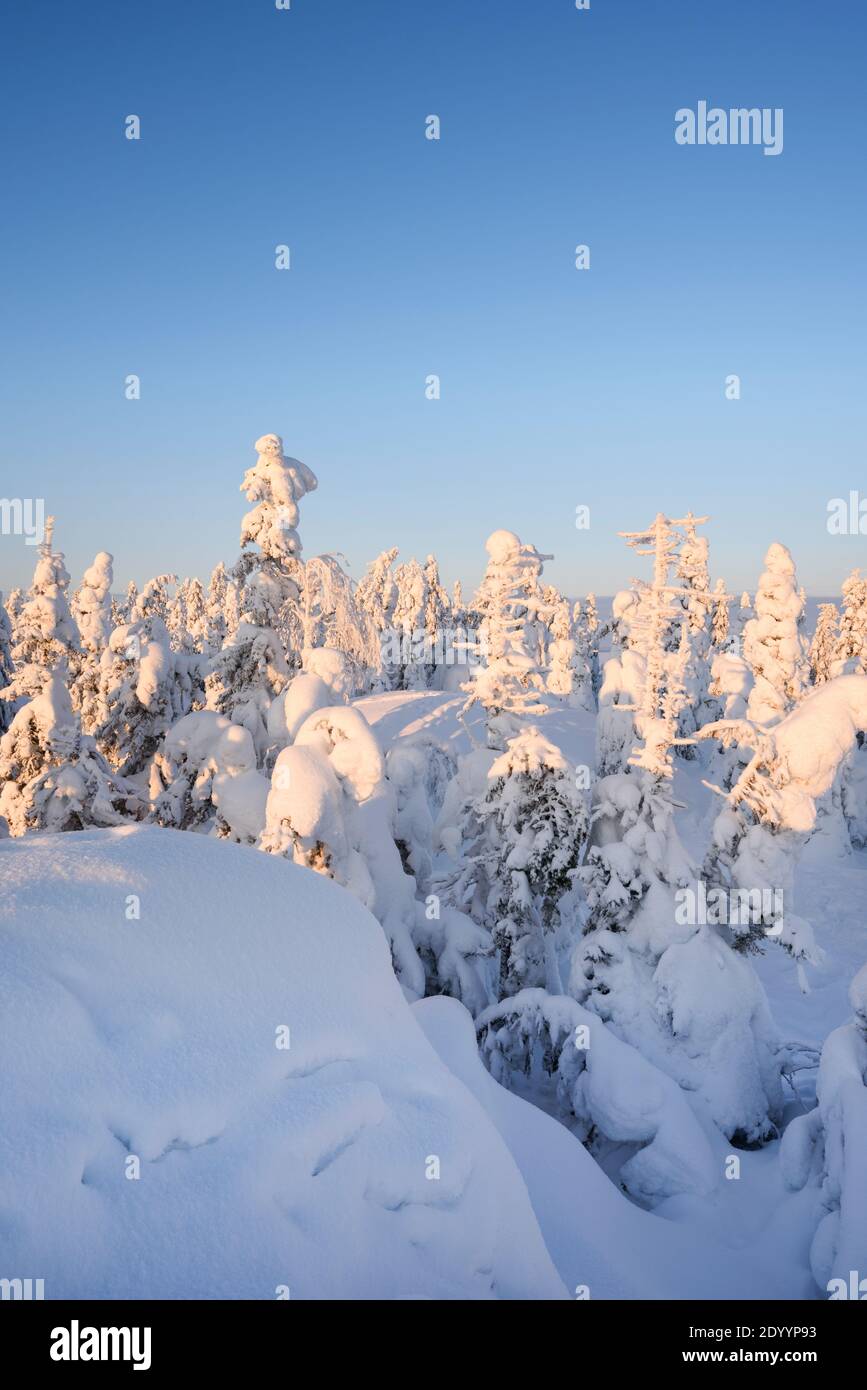 Koli national park winter hi-res stock photography and images - Alamy