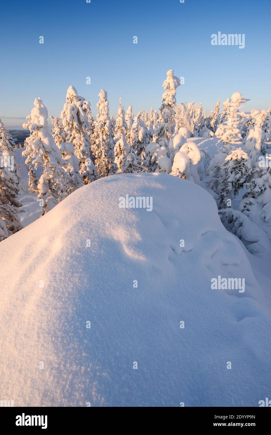 Winter landscape in Koli National Park, Finland Stock Photo - Alamy