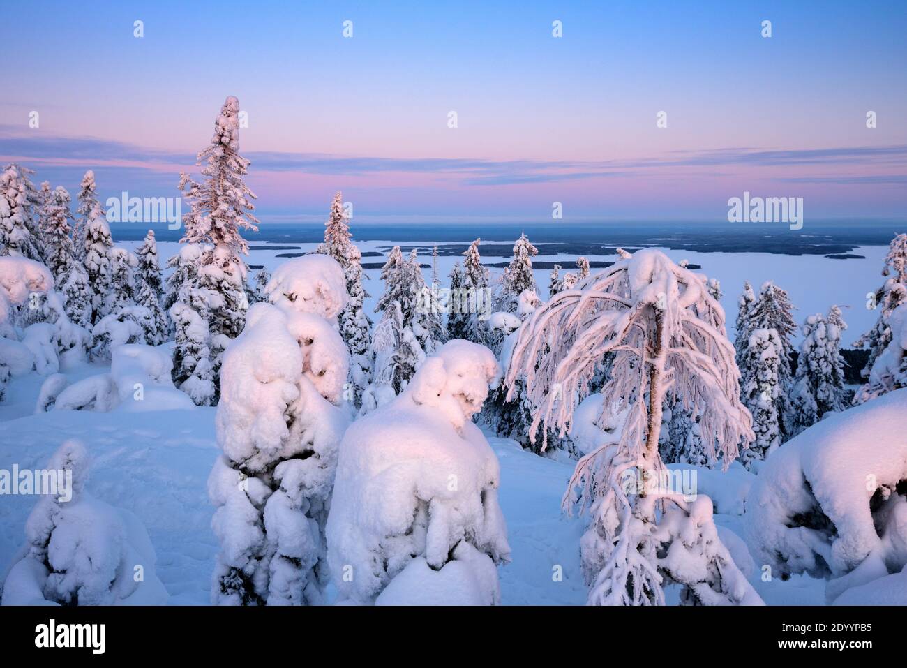 Winter landscape in Koli National Park in Finland Stock Photo - Alamy