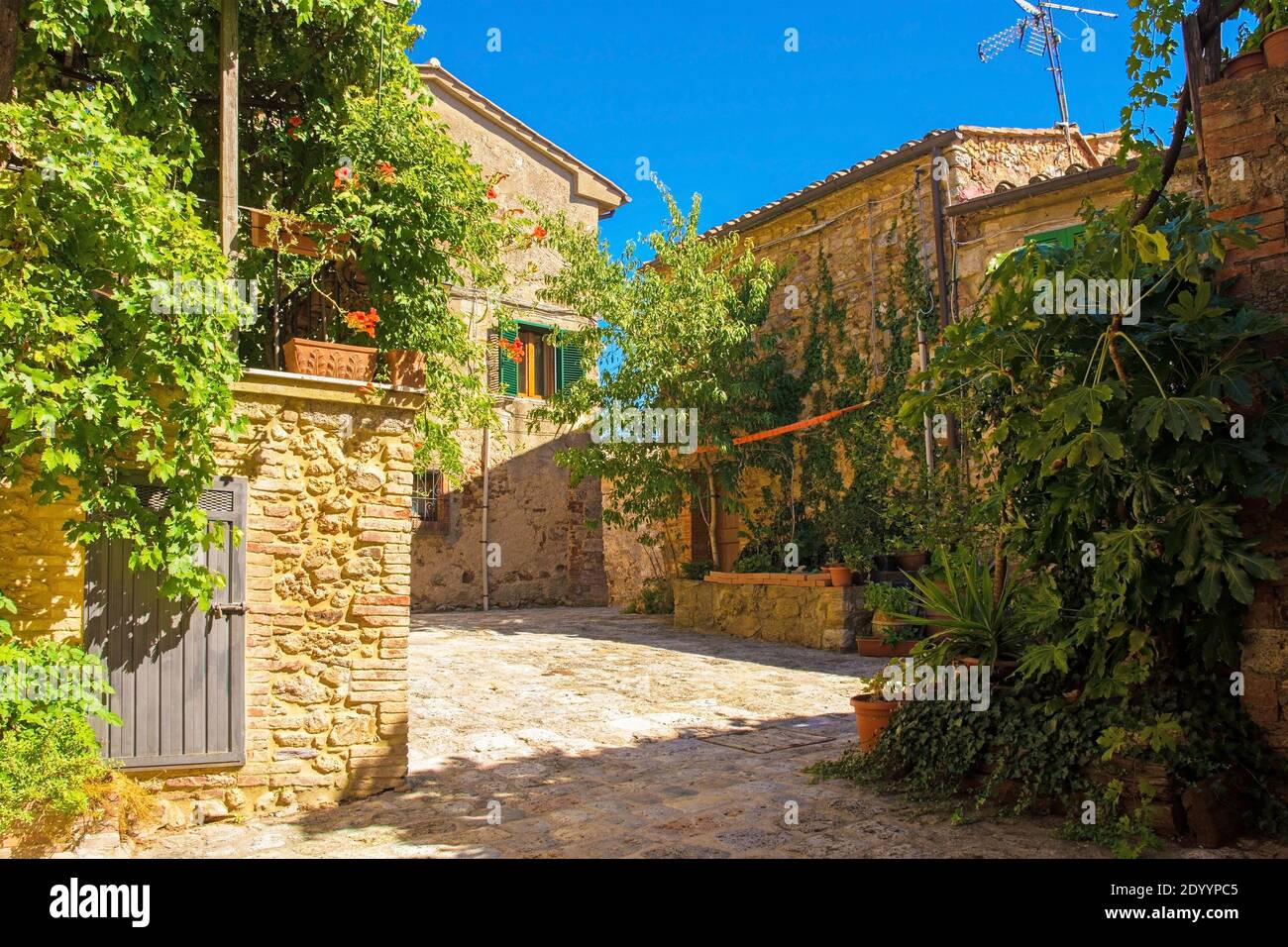 Historic stone buildings in the village of Montorsaio in Tuscany, part ...