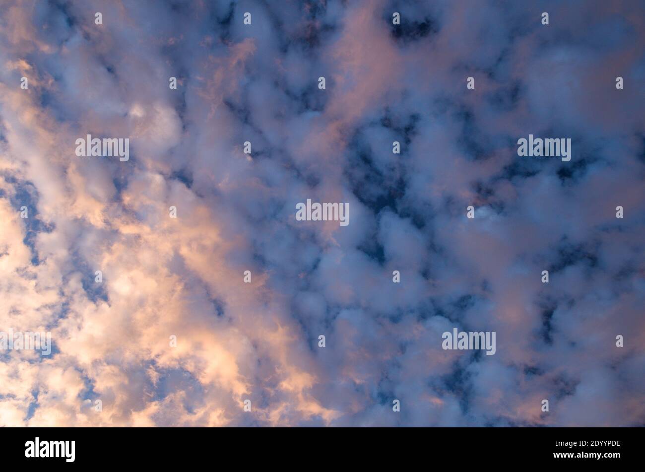 Patterned Clouds with Orange Sunbeams right before sunset Stock Photo ...