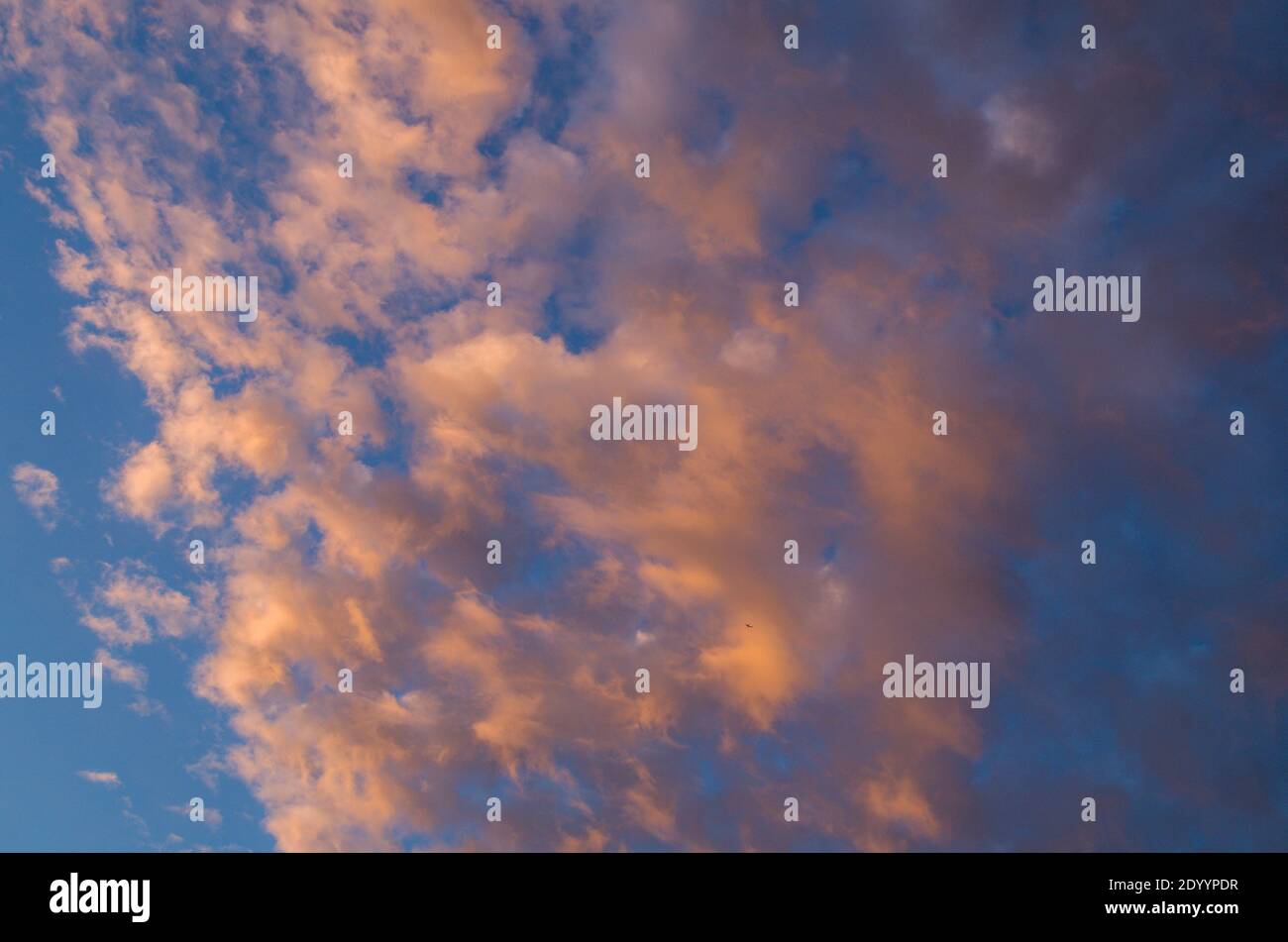 Centered person hi-res stock photography and images - Alamy