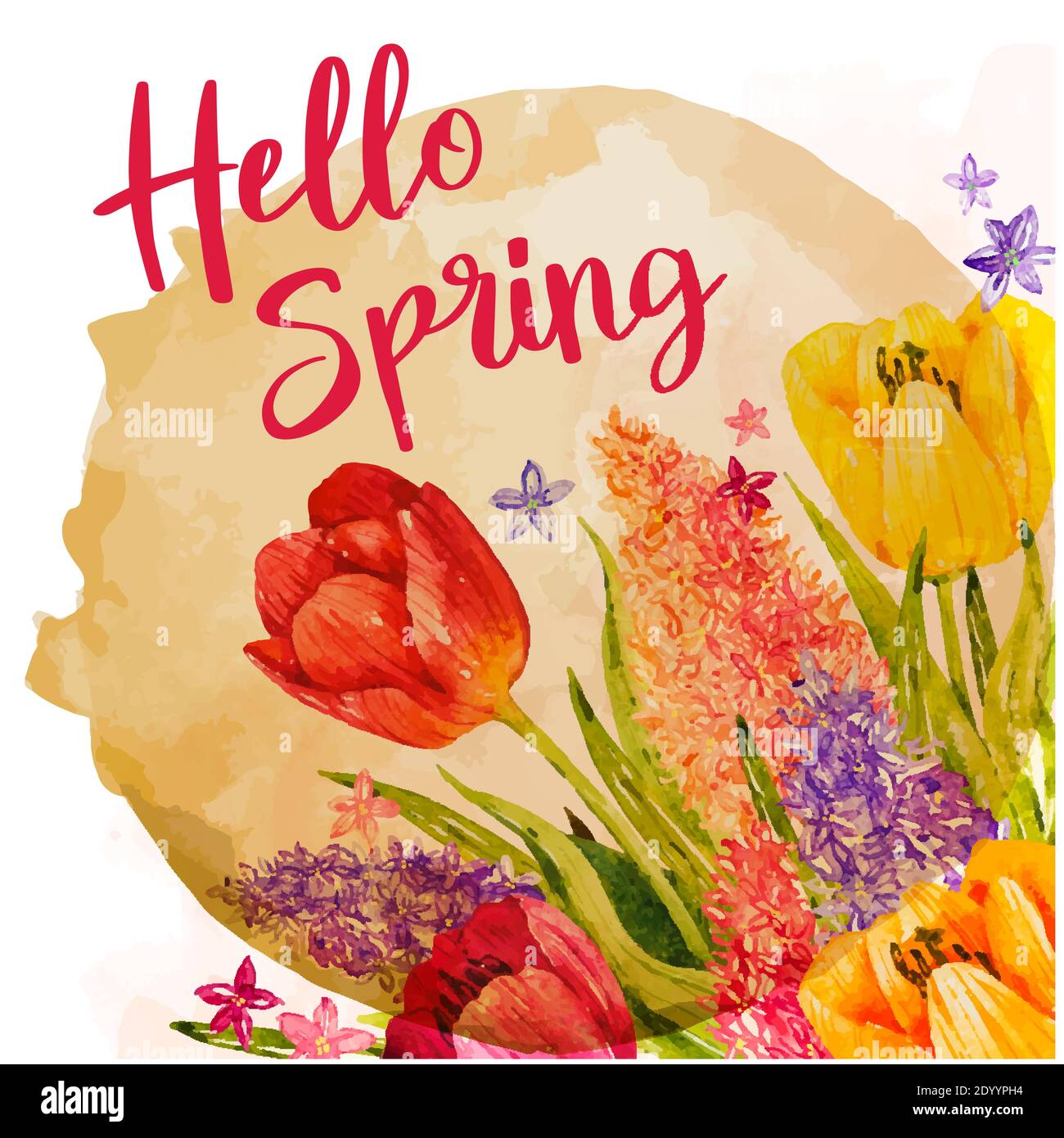 Hello Spring season Easterhand drawn lettering and Tulip, Spring is ...