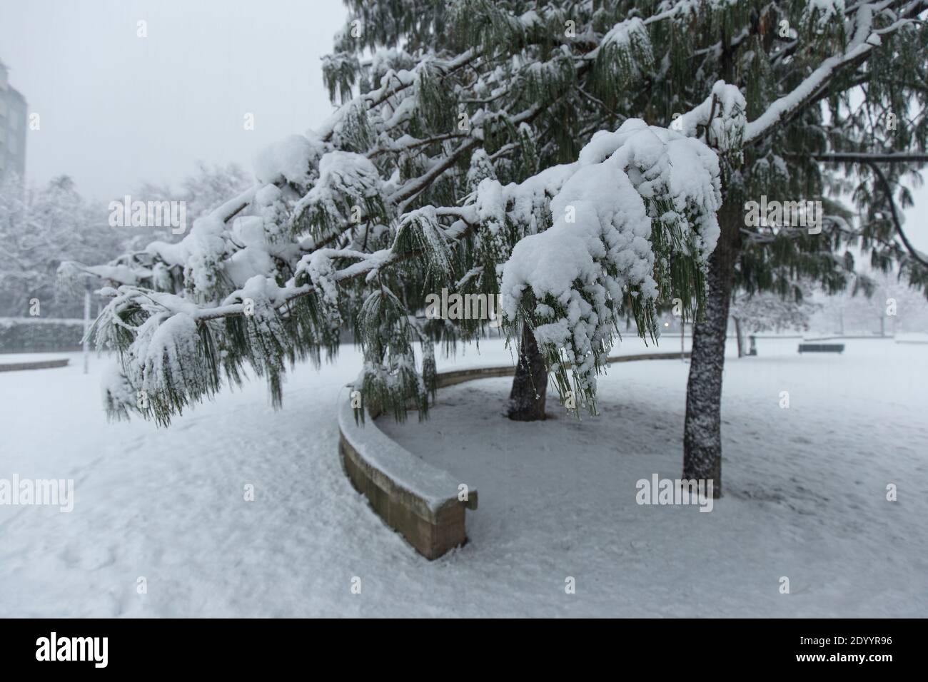 Milan, Italy - December 28, 2020: street view of Milan during the snow ...