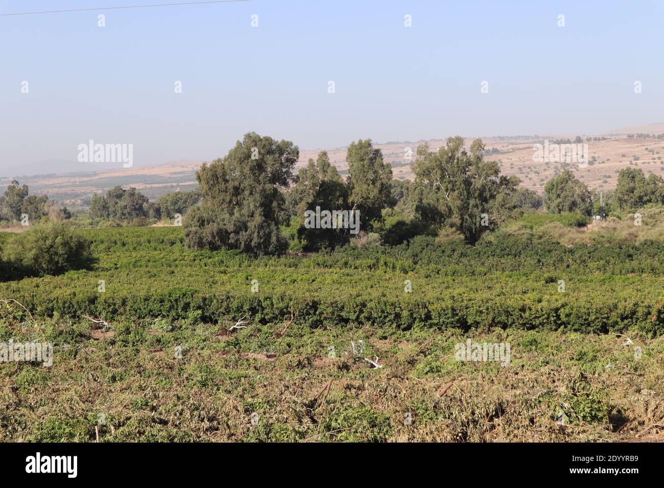 A view from the Yehudiya junction in the Golan Heights Israel to the ...