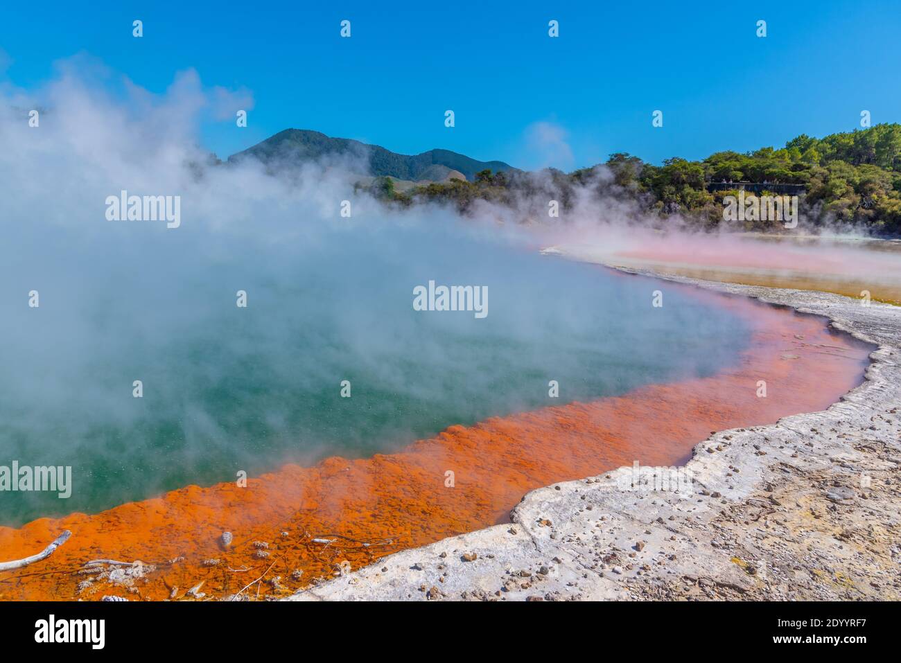 Champagne pool at Wai-O-Tapu in New Zealand Stock Photo - Alamy