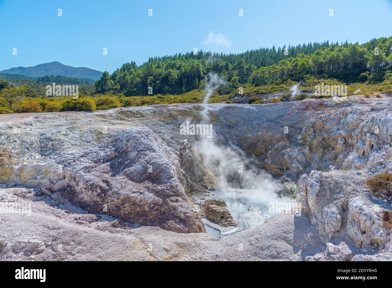Boiling mud pool in wai o tapu hi-res stock photography and images - Alamy