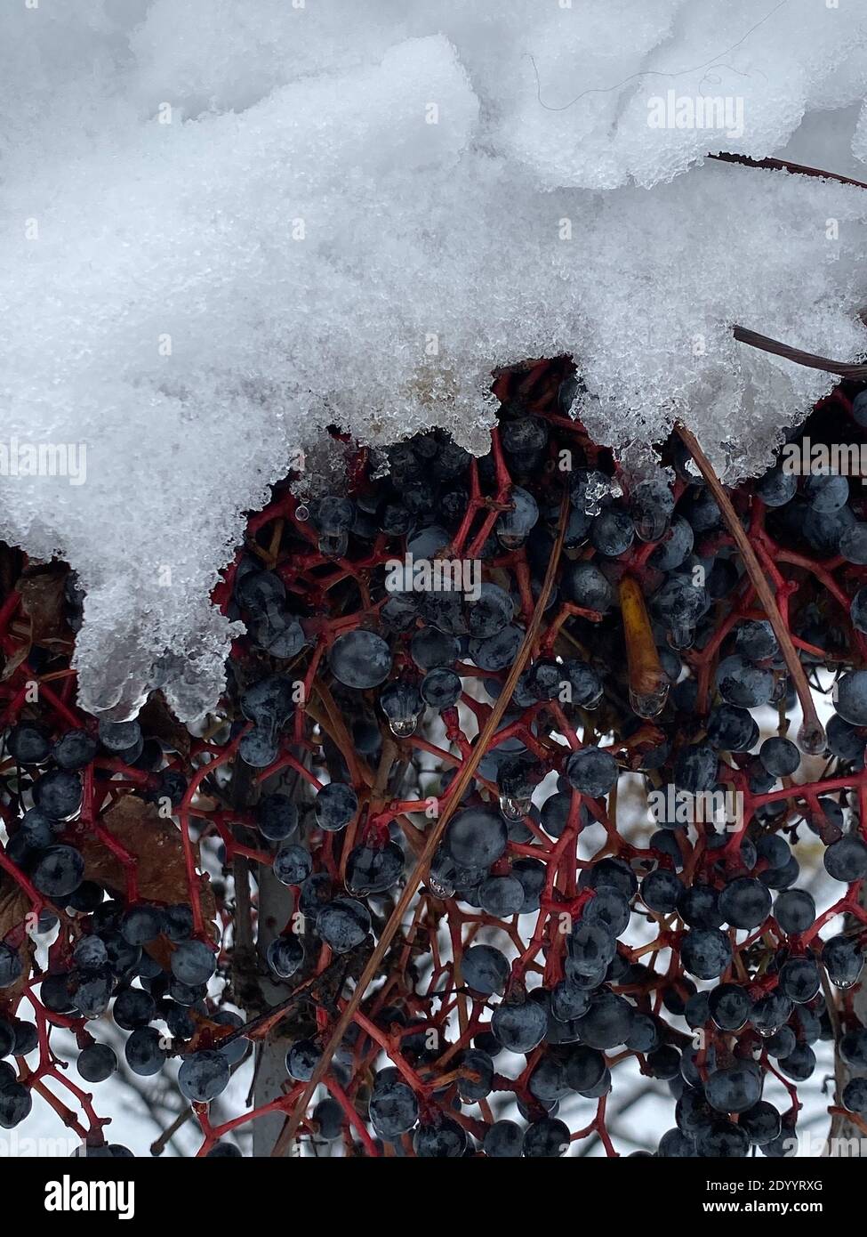 Milan, Italy - December 28, 2020: street view of Milan during the snow ...
