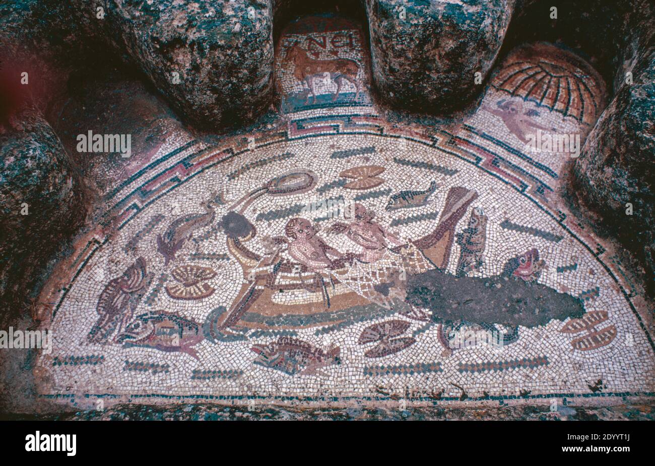 Bulla regia ancient roman city hi-res stock photography and images - Alamy