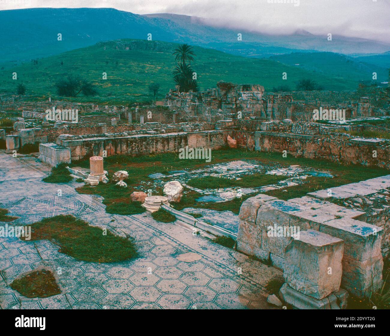 Bulla regia ancient roman city hi-res stock photography and images - Alamy