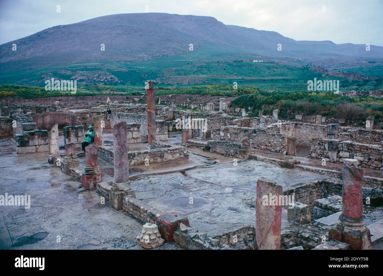 Archive scan of Archaeological Site Bulla Regia, ruins of Barber, Punic ...