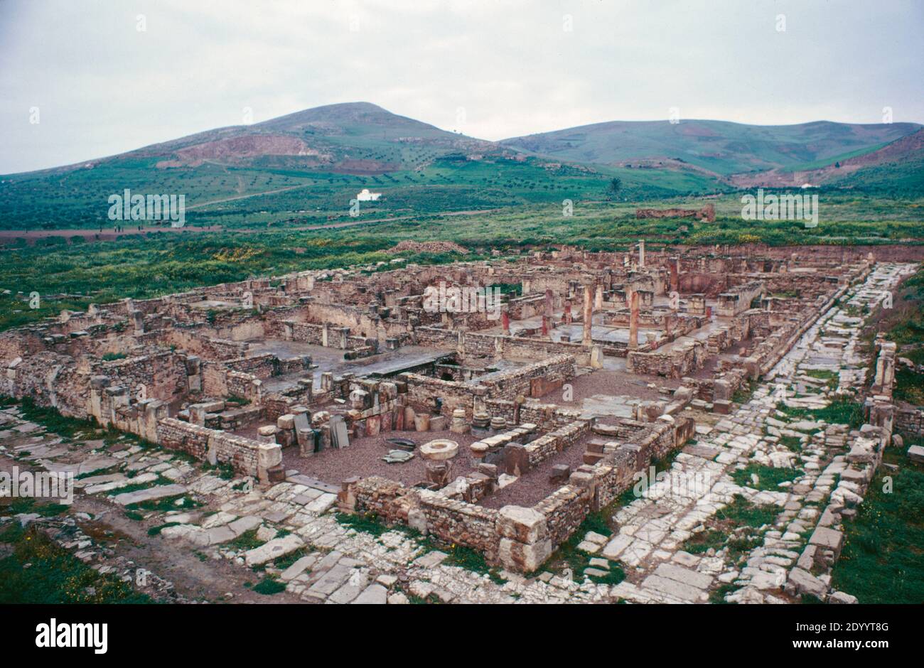 Archive scan of Archaeological Site Bulla Regia, ruins of Barber, Punic ...