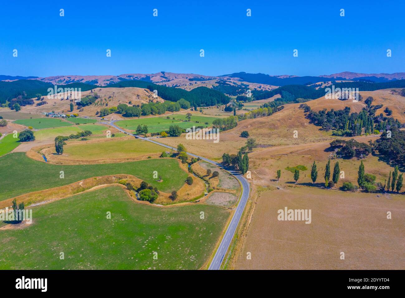 Road passing through rural landscape of North Island in New Zealand ...