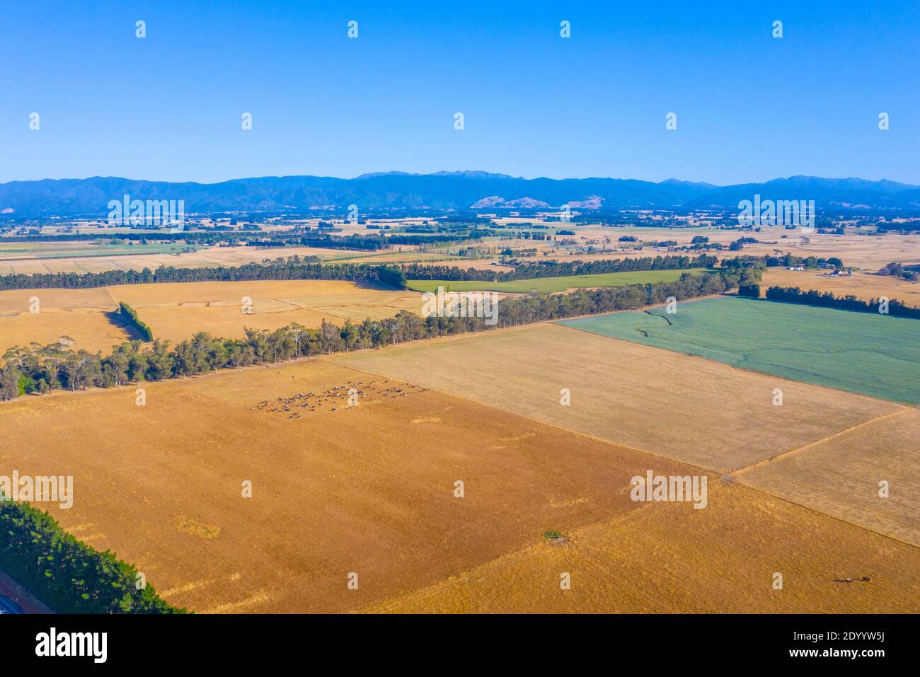 Aerial view of rural landscape of North Island in New Zealand Stock ...