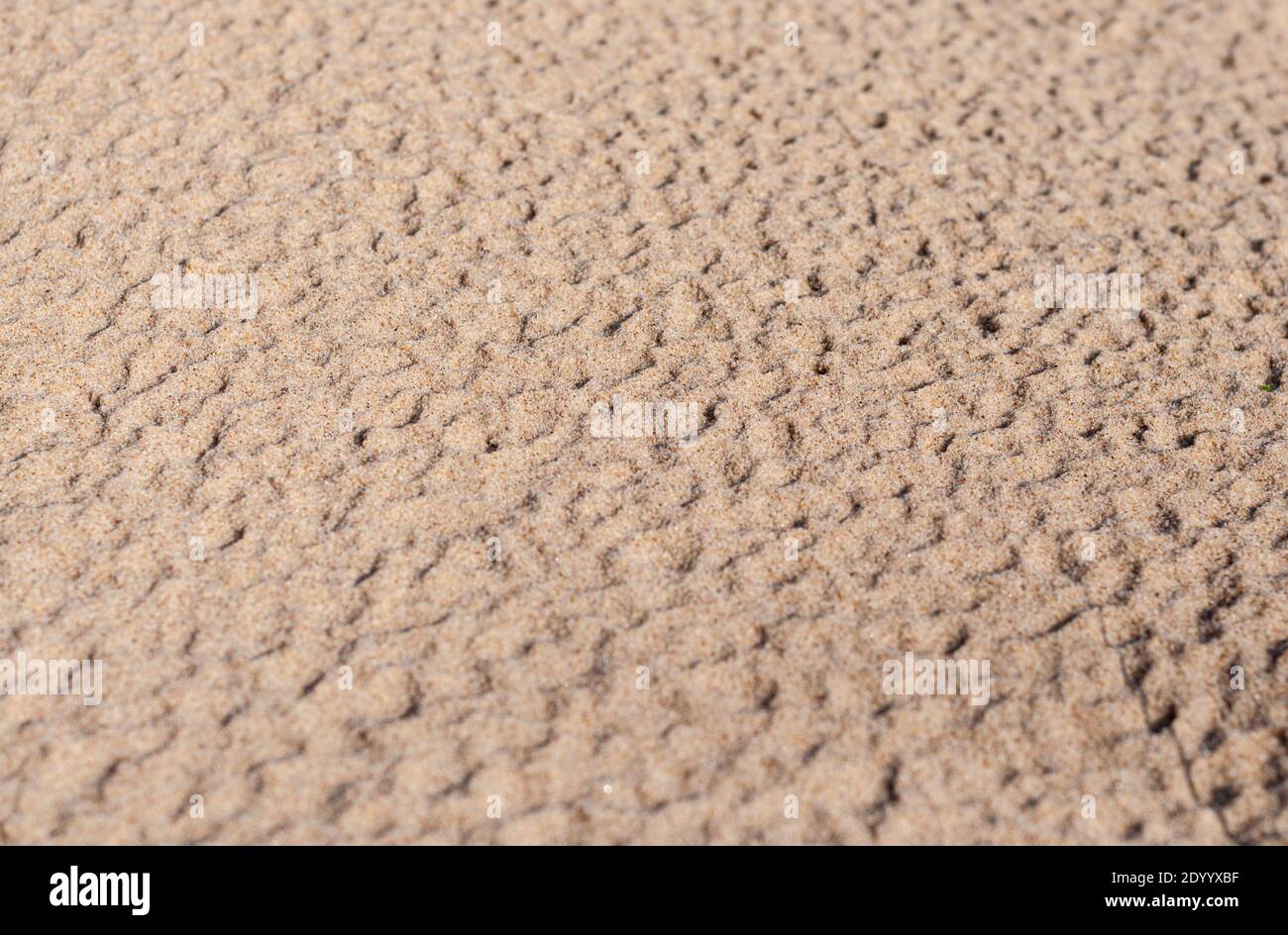 Natural texture of sand surface after the rain Stock Photo - Alamy