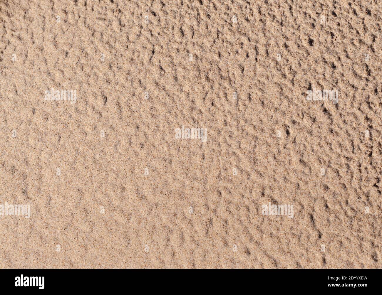 Sand grains texture hi-res stock photography and images - Alamy