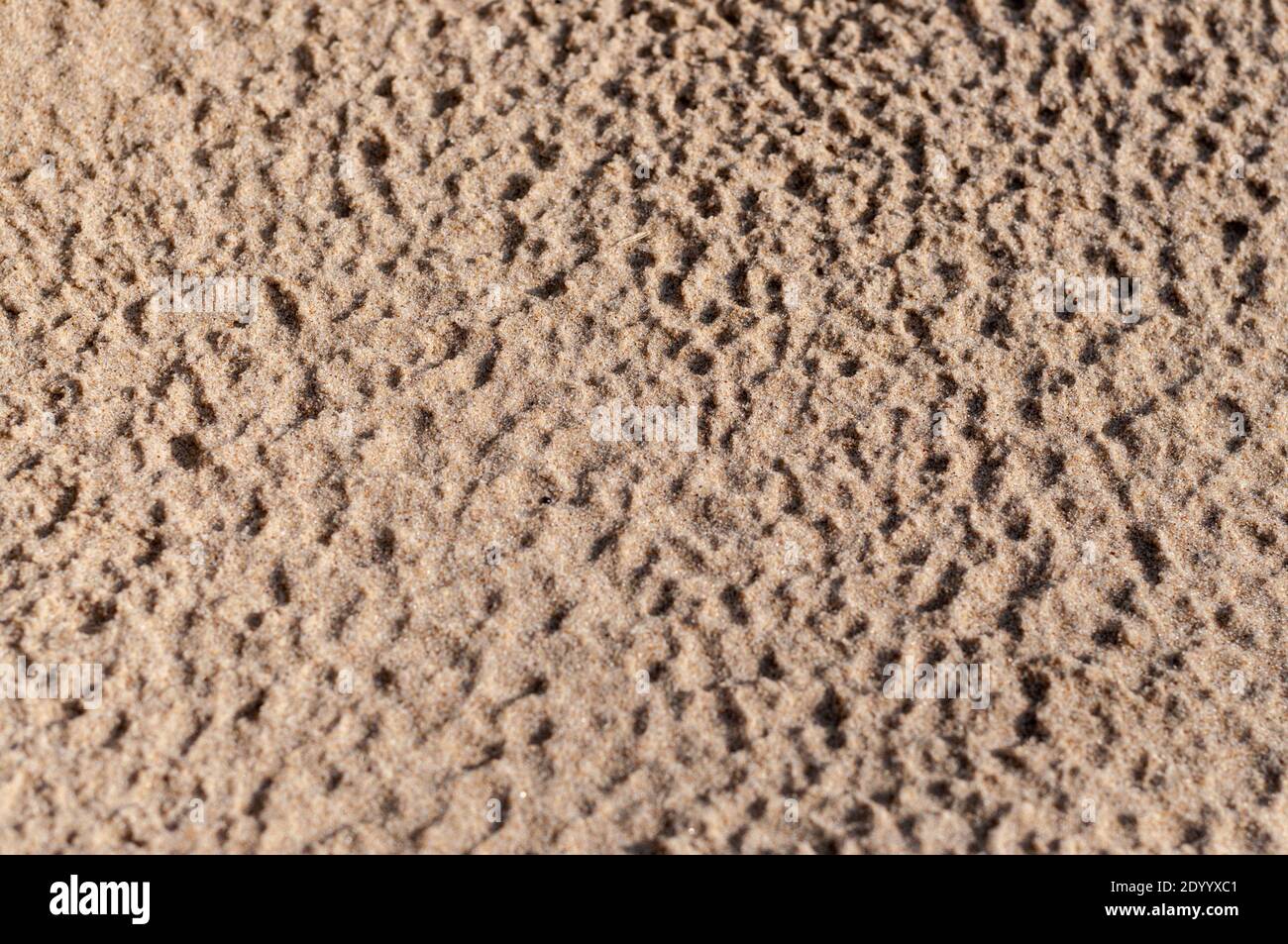 Natural texture of sand surface after the rain Stock Photo - Alamy