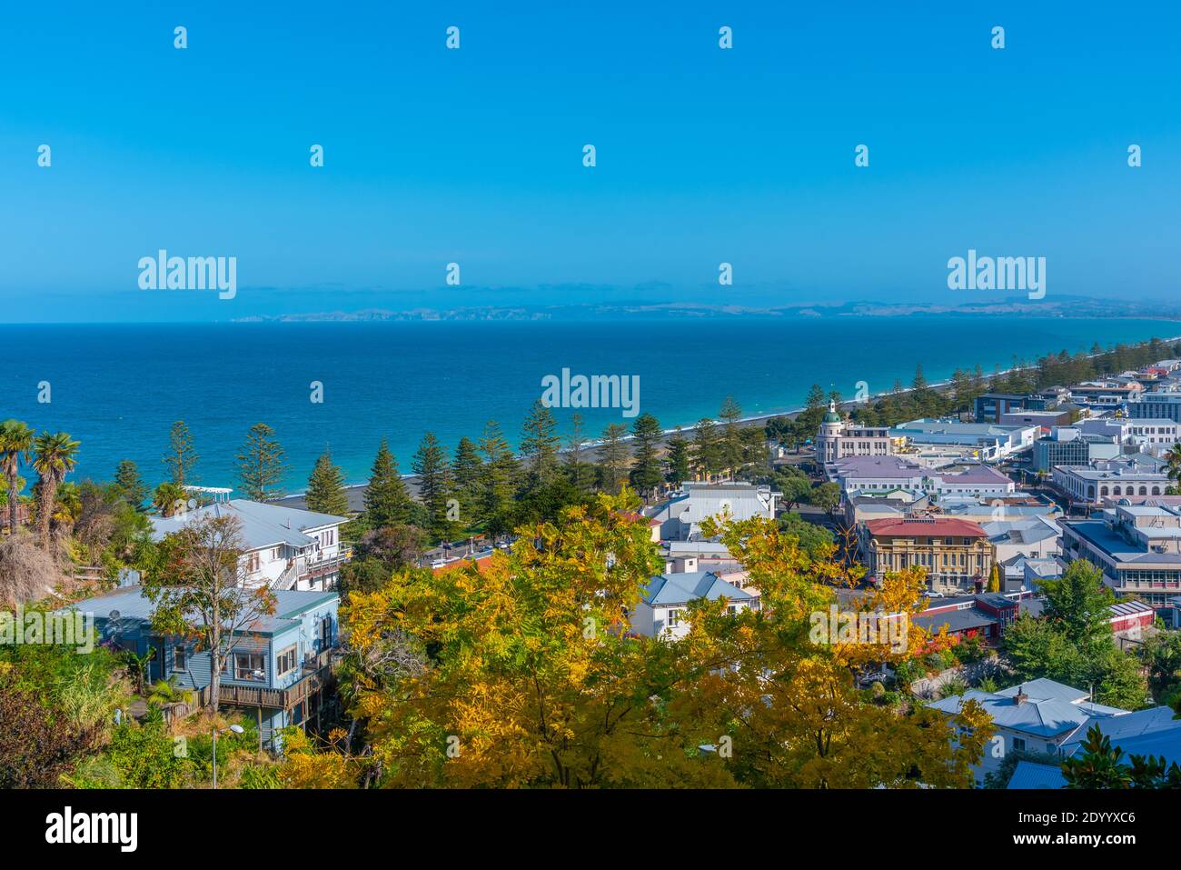 Aerial view of Napier, New Zealand Stock Photo - Alamy