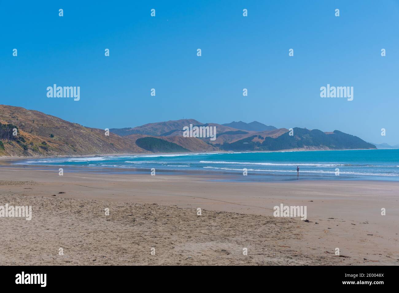 Castlepoint beach in New Zealand Stock Photo - Alamy