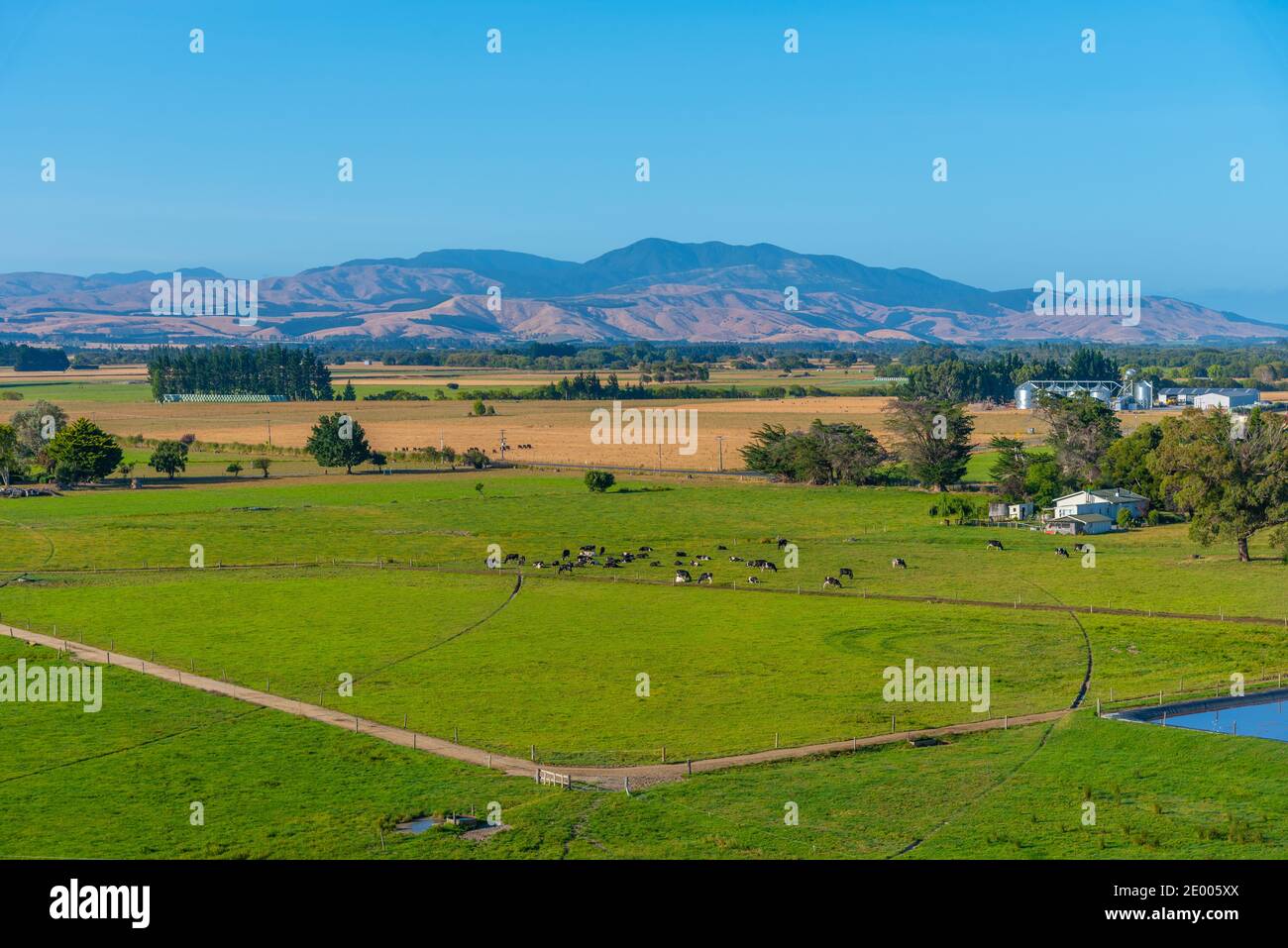 Rural landscape of North Island in New Zealand Stock Photo - Alamy