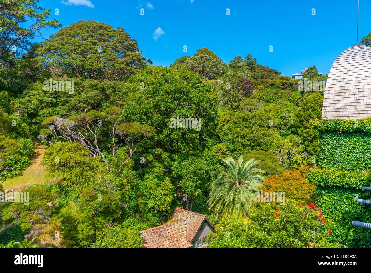 Wellington Botanic Garden Treehouse in New Zealand Stock Photo - Alamy