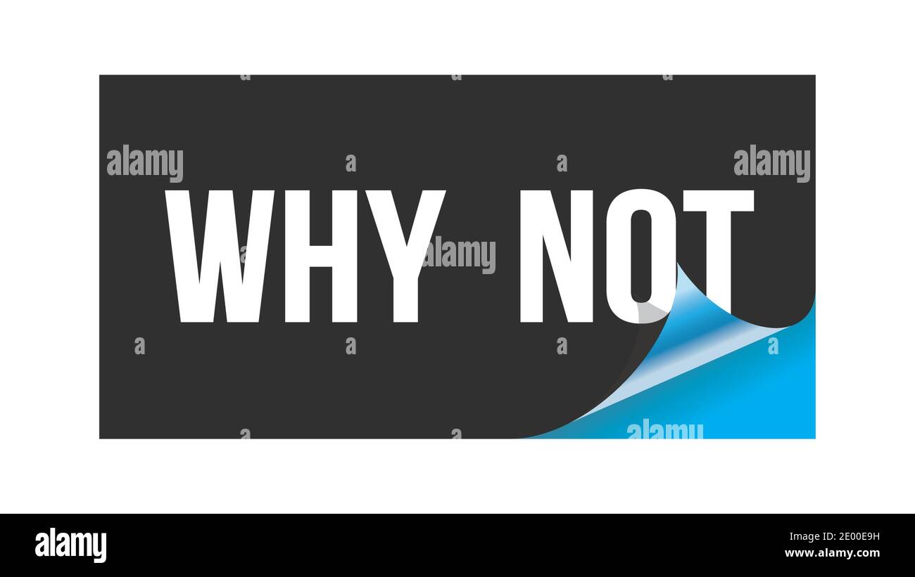 WHY NOT text written on black blue sticker stamp Stock Photo - Alamy