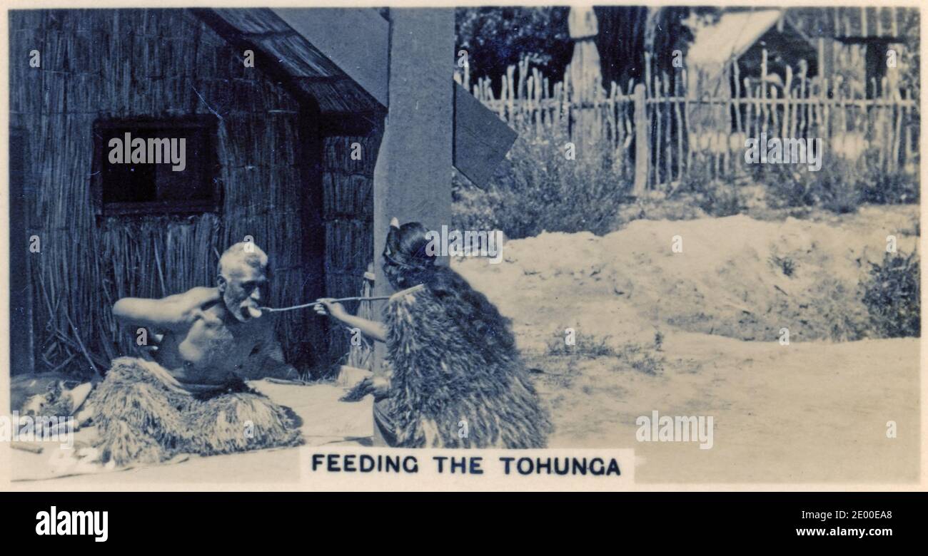 a young Maori woman feeding a tribal tohunga, as he is too sacred to be ...