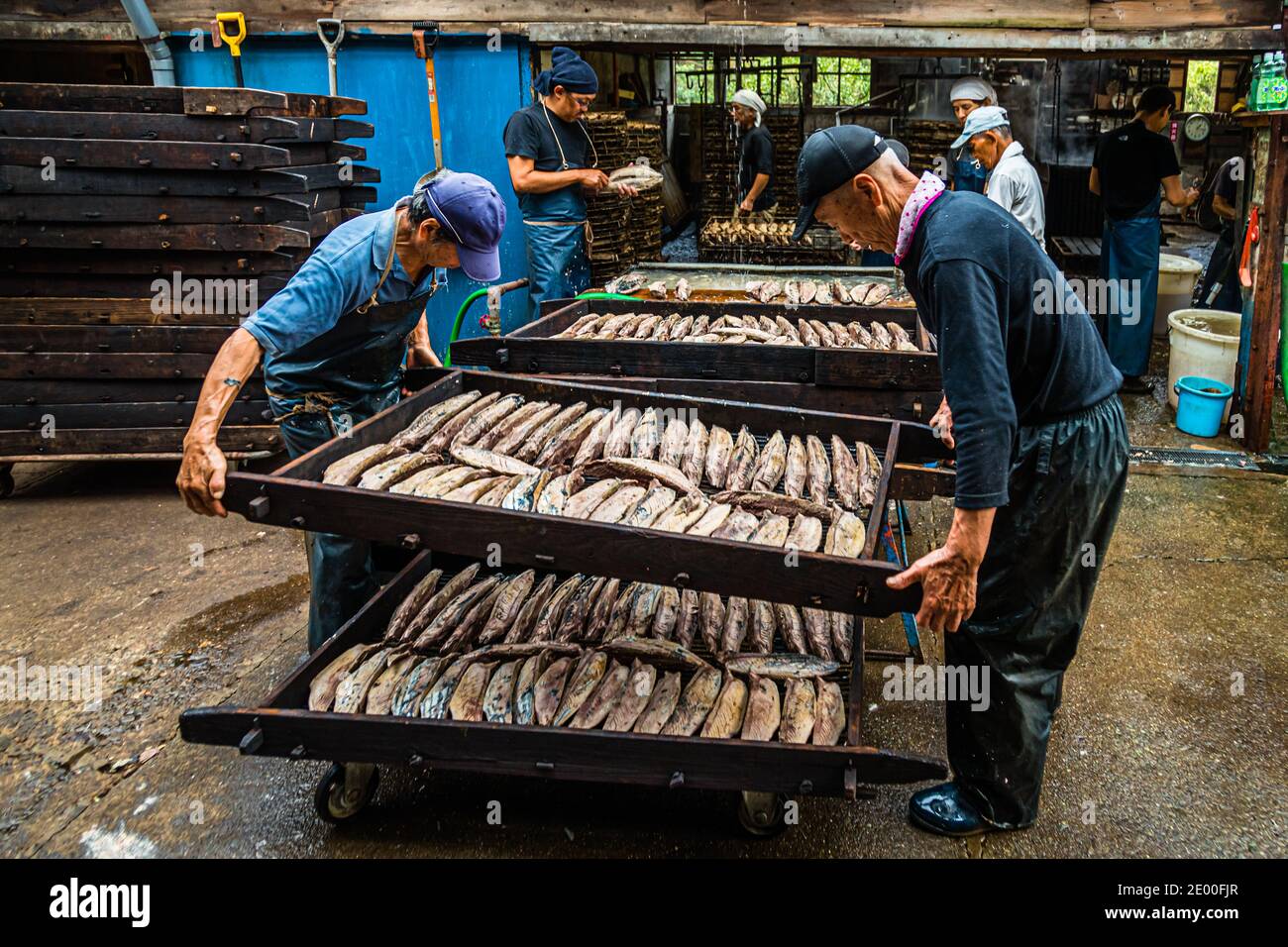 Yasuhisa Serizawa's Katsuobushi Manufacture in Nishiizu-Cho, Shizuoka ...