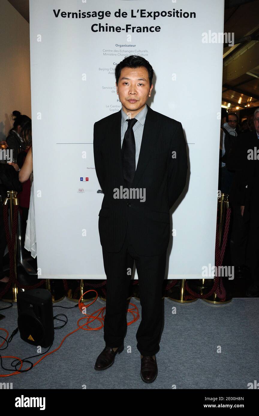 Fan Di'an attending the 'CHIFRA' Exhibition Opening on the Champs ...